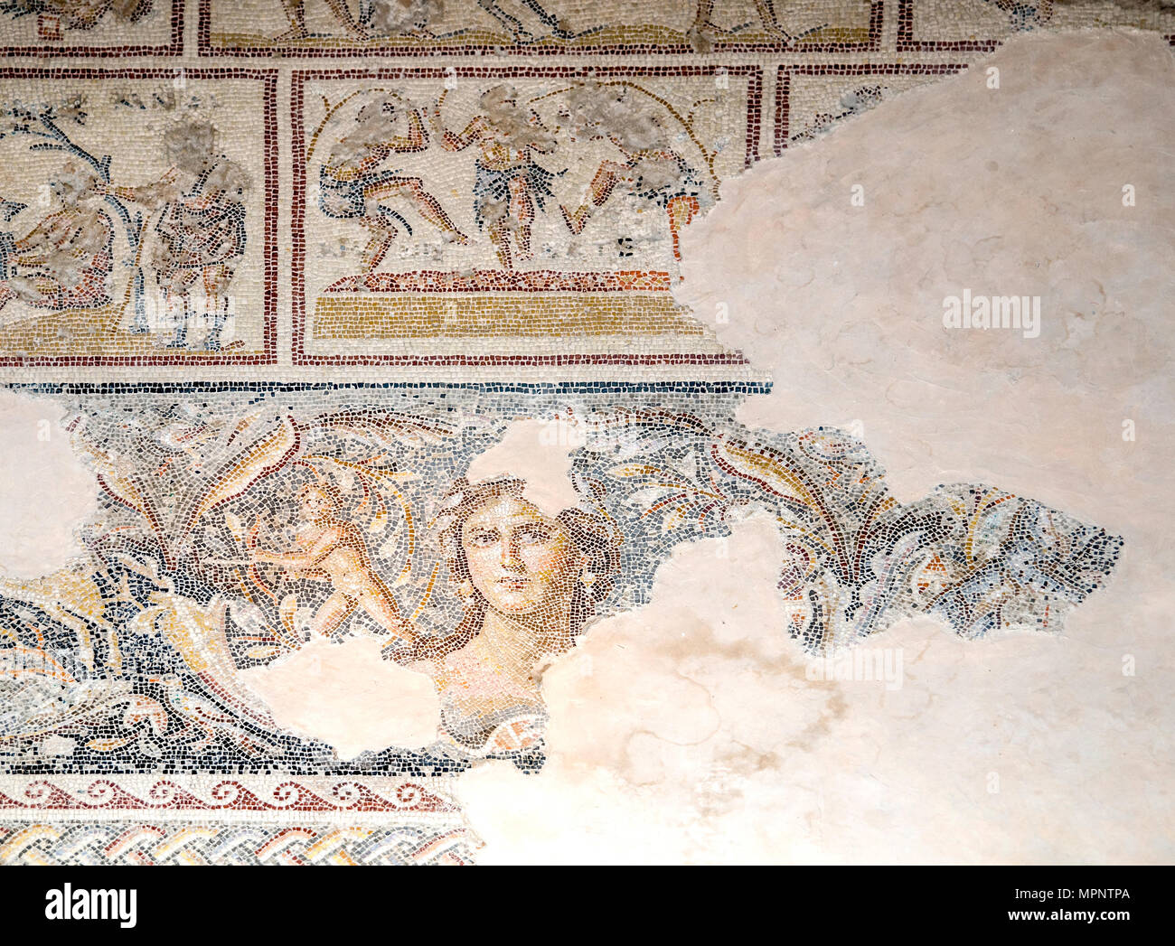 Dionysus Mosaic, Mosaic floor of the roman villa The "Mona Lisa of the ...