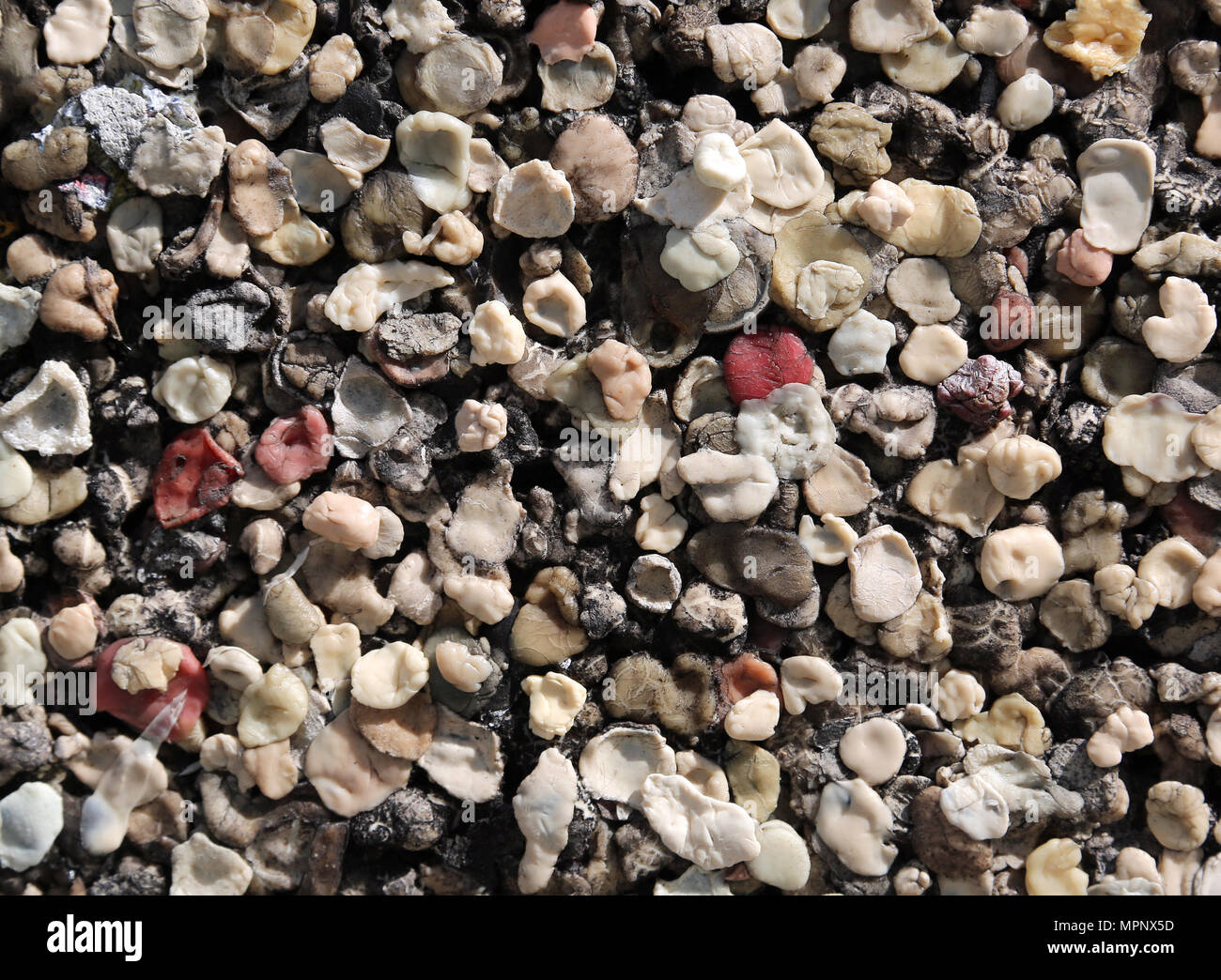 Incredible background of a lot of chewed chewing gum attached to each ...