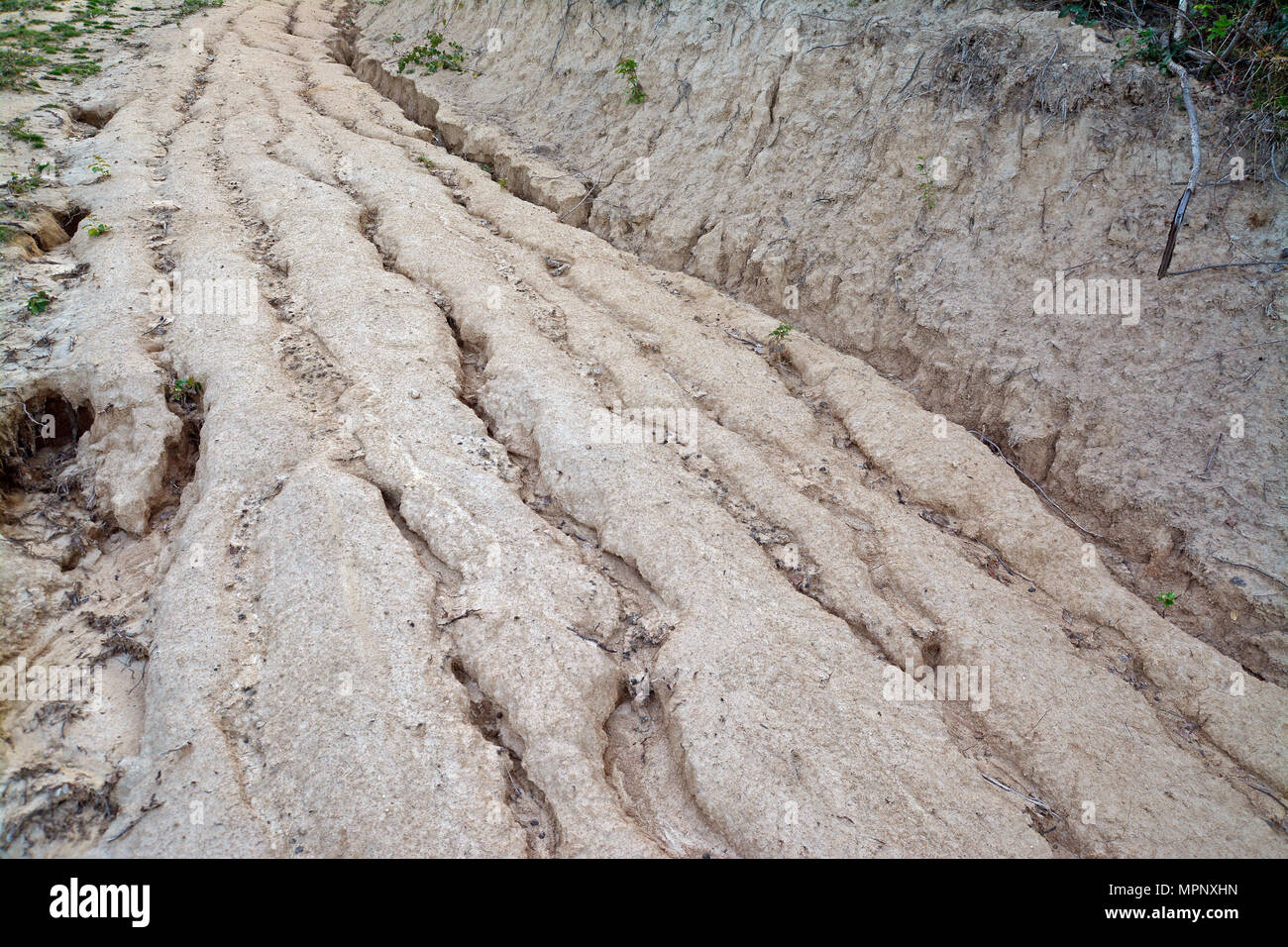 soil erosion after heavy rains Stock Photo - Alamy