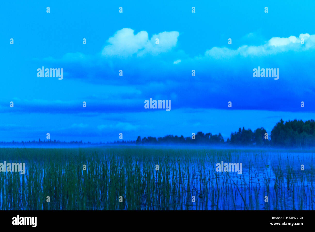 night fog above the lake, summer landscape Stock Photo - Alamy