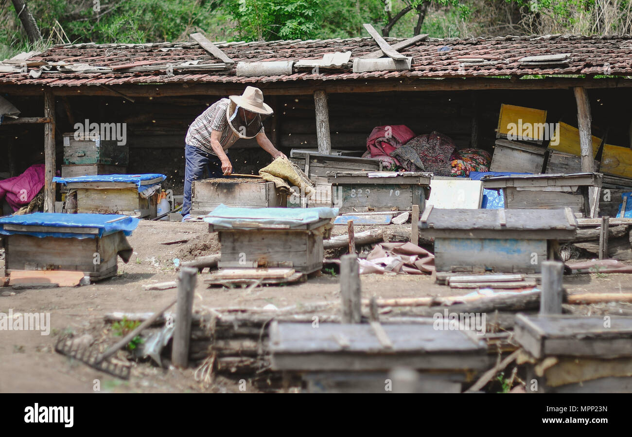 Beehive projects hi-res stock photography and images - Alamy