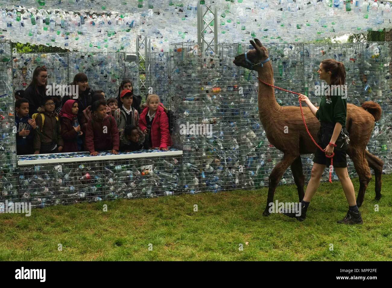 Camden's netley primary school hi-res stock photography and images - Alamy