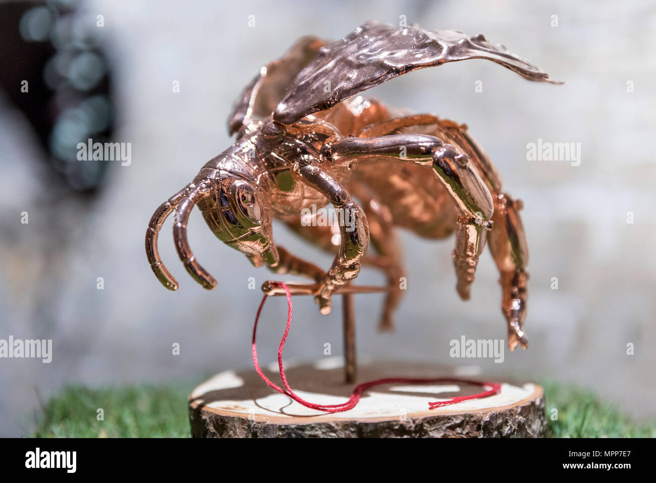 London, UK. 24 May 2018. A copper plated sculpture of a bumble bee at ...