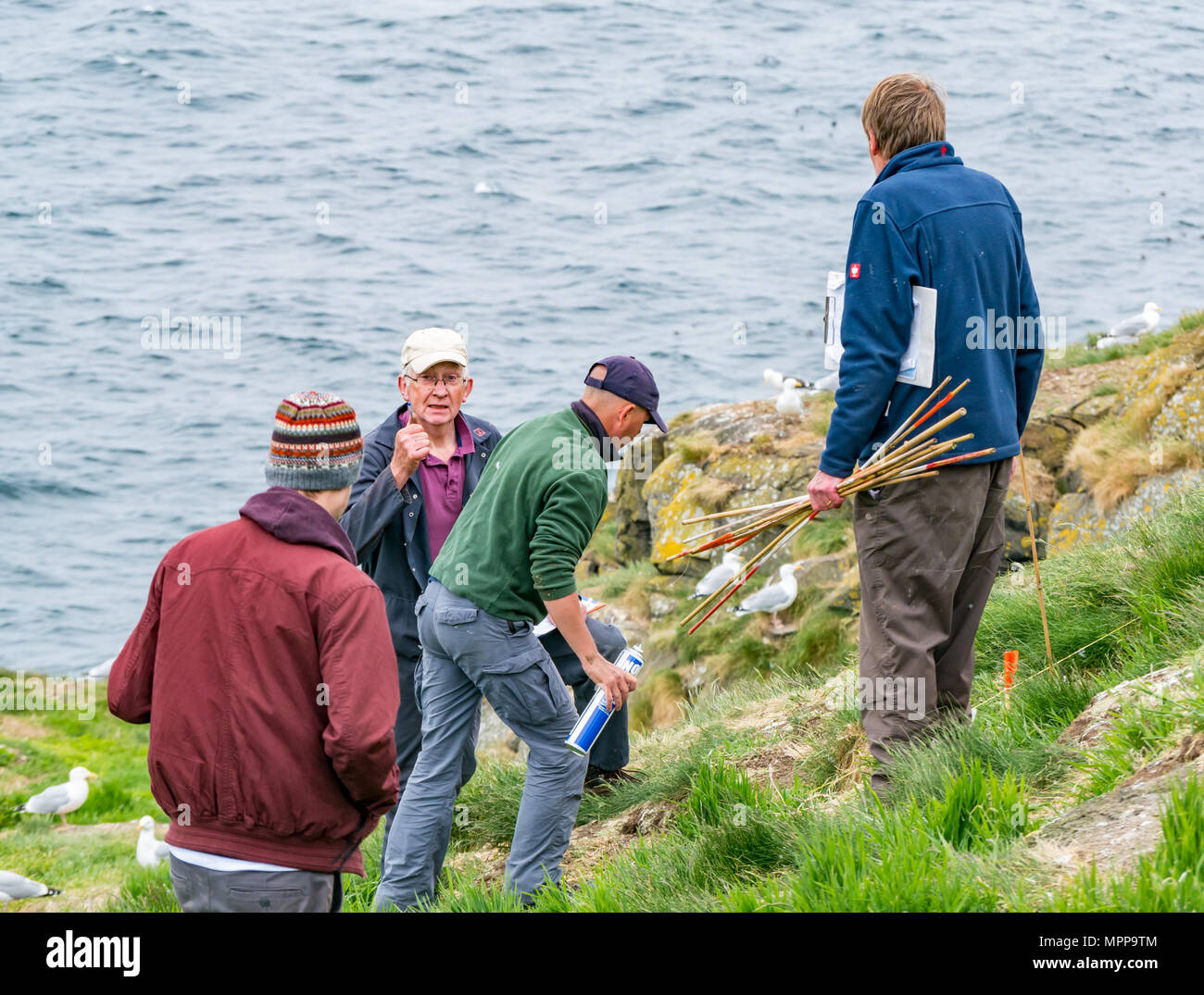 Puffin burrow count hi-res stock photography and images - Alamy