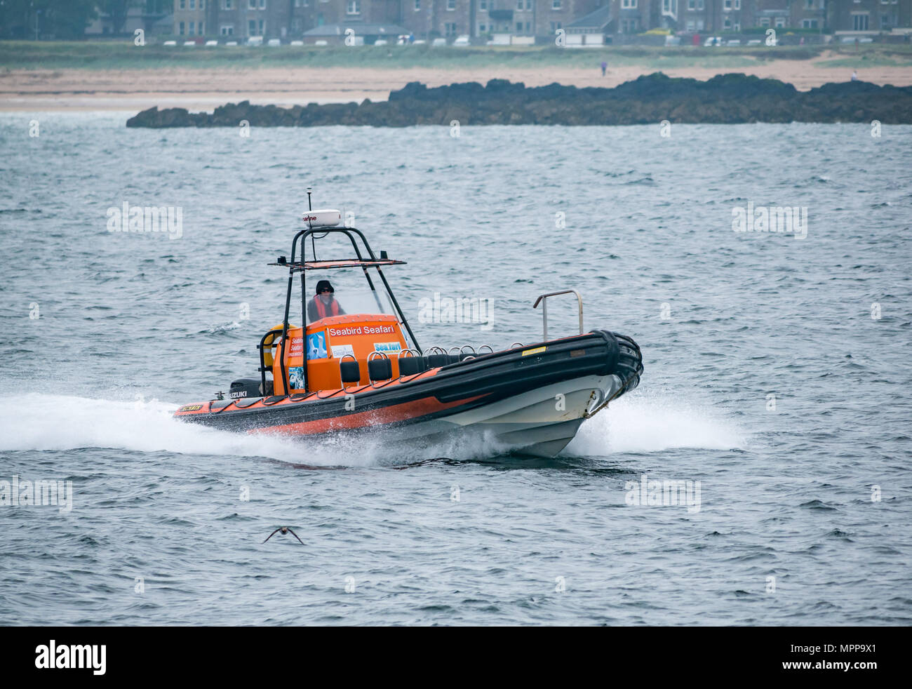 Rib Speed High Resolution Stock Photography and Images - Alamy