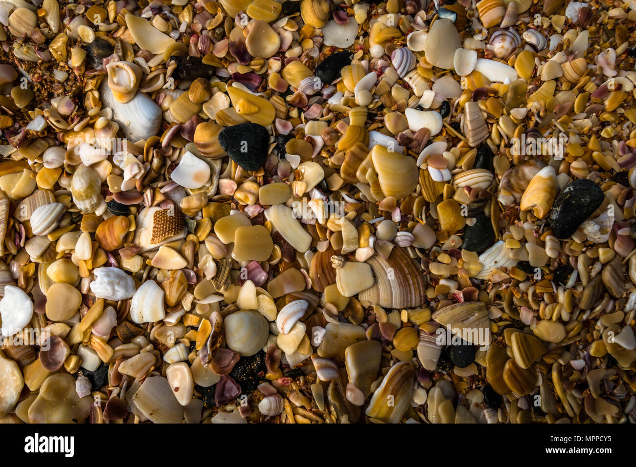 Cable Bay Beach Stock Photo - Alamy