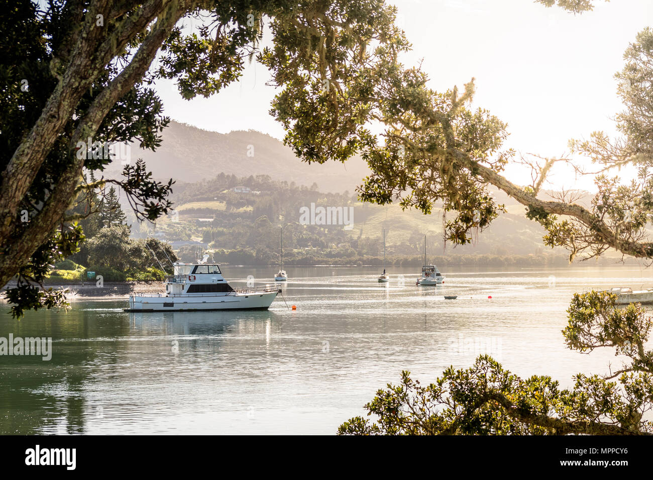 New zealand mangonui hi-res stock photography and images - Alamy