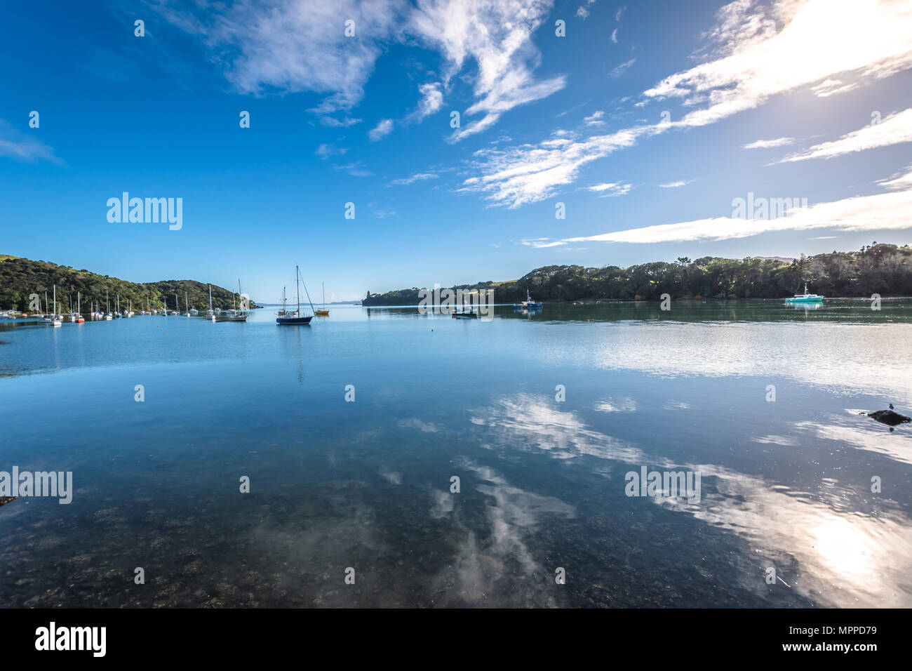 New zealand mangonui hi-res stock photography and images - Alamy