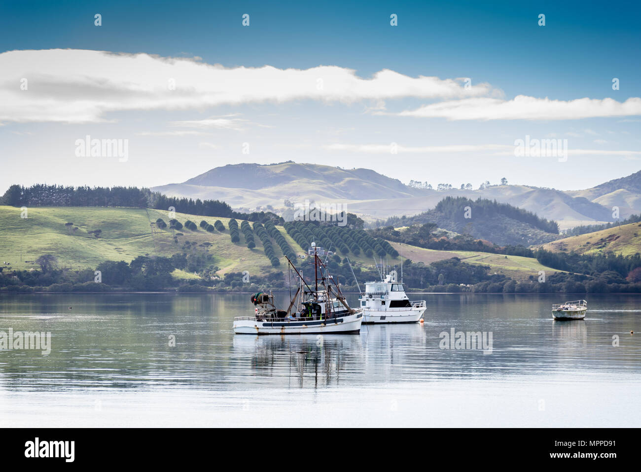 Harbour of Mangonui, New Zealand Stock Photo - Alamy
