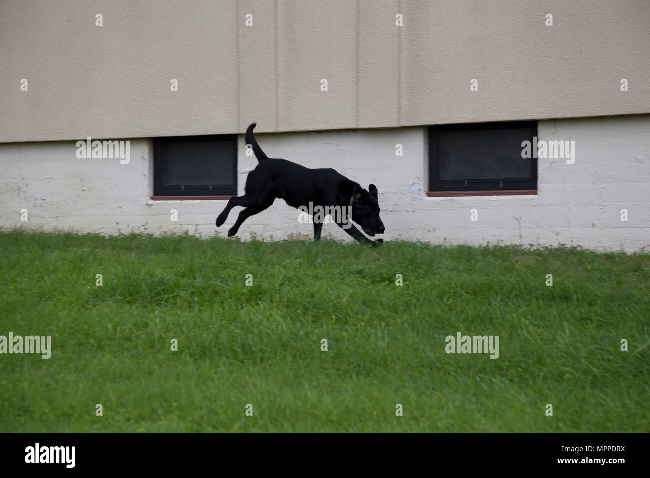 Police search on entry hi-res stock photography and images - Alamy
