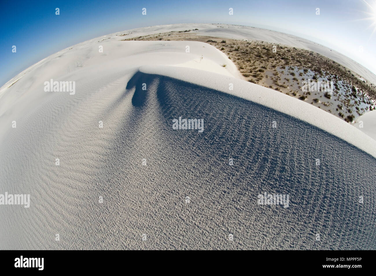 Swirling ridges and textured patterns of sand accentuate a more global ...