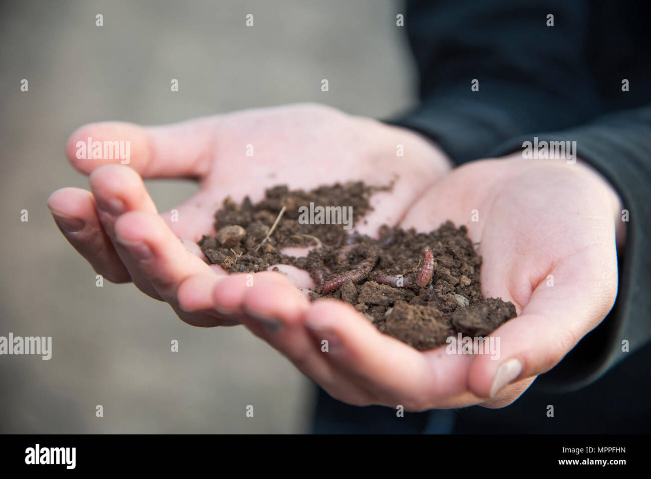 Hands holding soil worms hi-res stock photography and images - Alamy