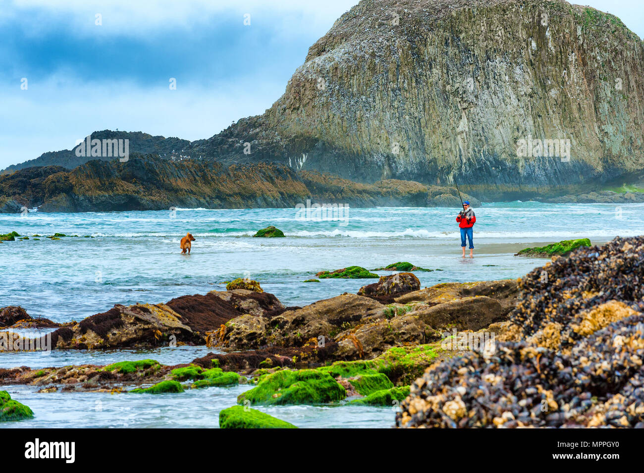 3 coas hi-res stock photography and images - Alamy