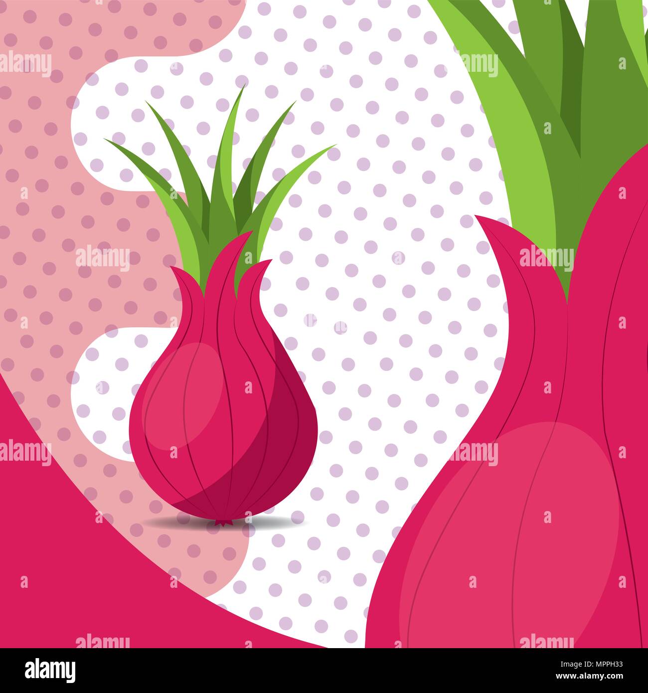 fresh vegetable onion on dots background vector illustration Stock ...