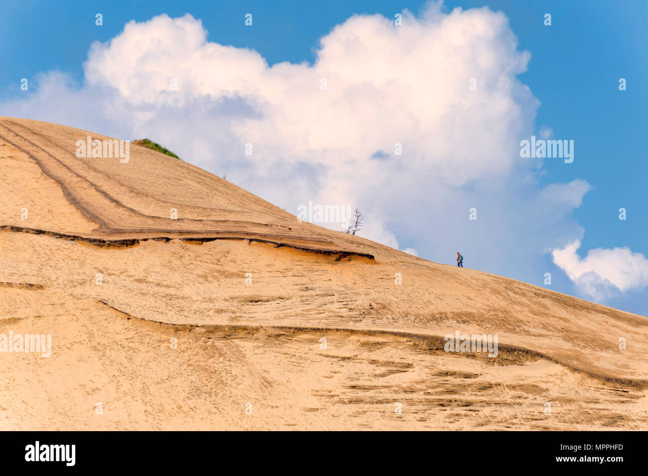 Favorite activity hi-res stock photography and images - Alamy