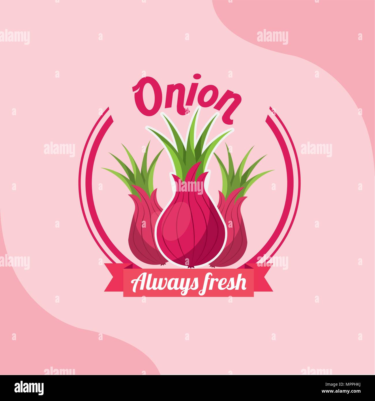vegetable onion always fresh emblem vector illustration Stock Vector ...