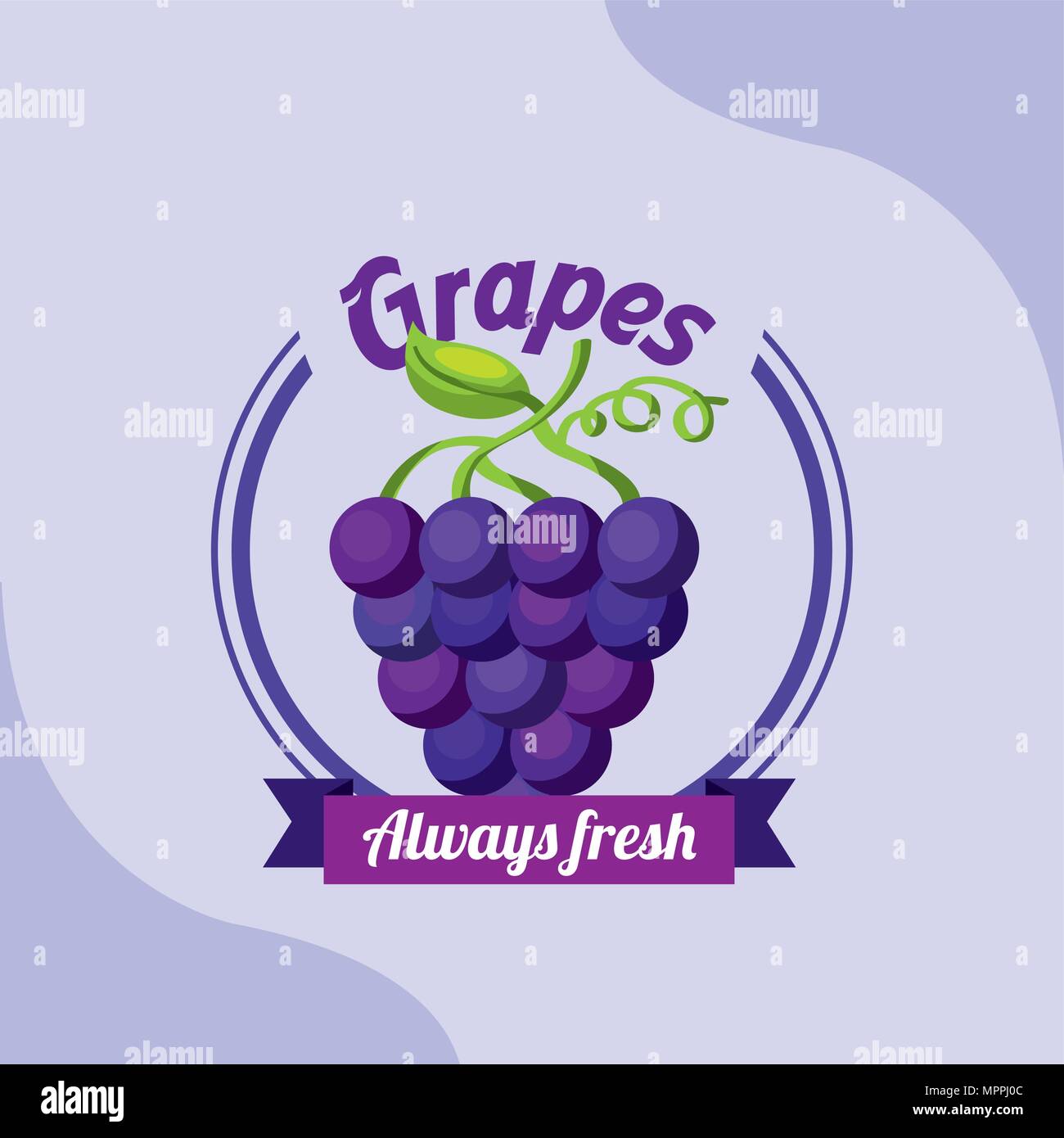 fruit bunch grapes always fresh emblem vector illustration Stock Vector ...