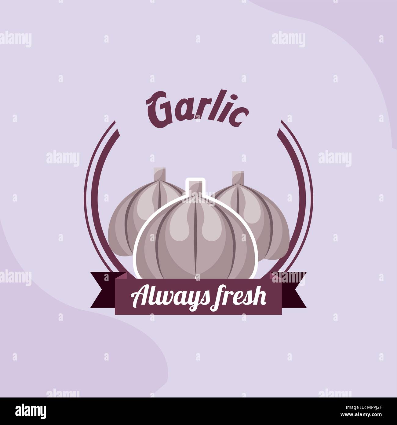 vegetable garlic always fresh emblem vector illustration Stock Vector ...