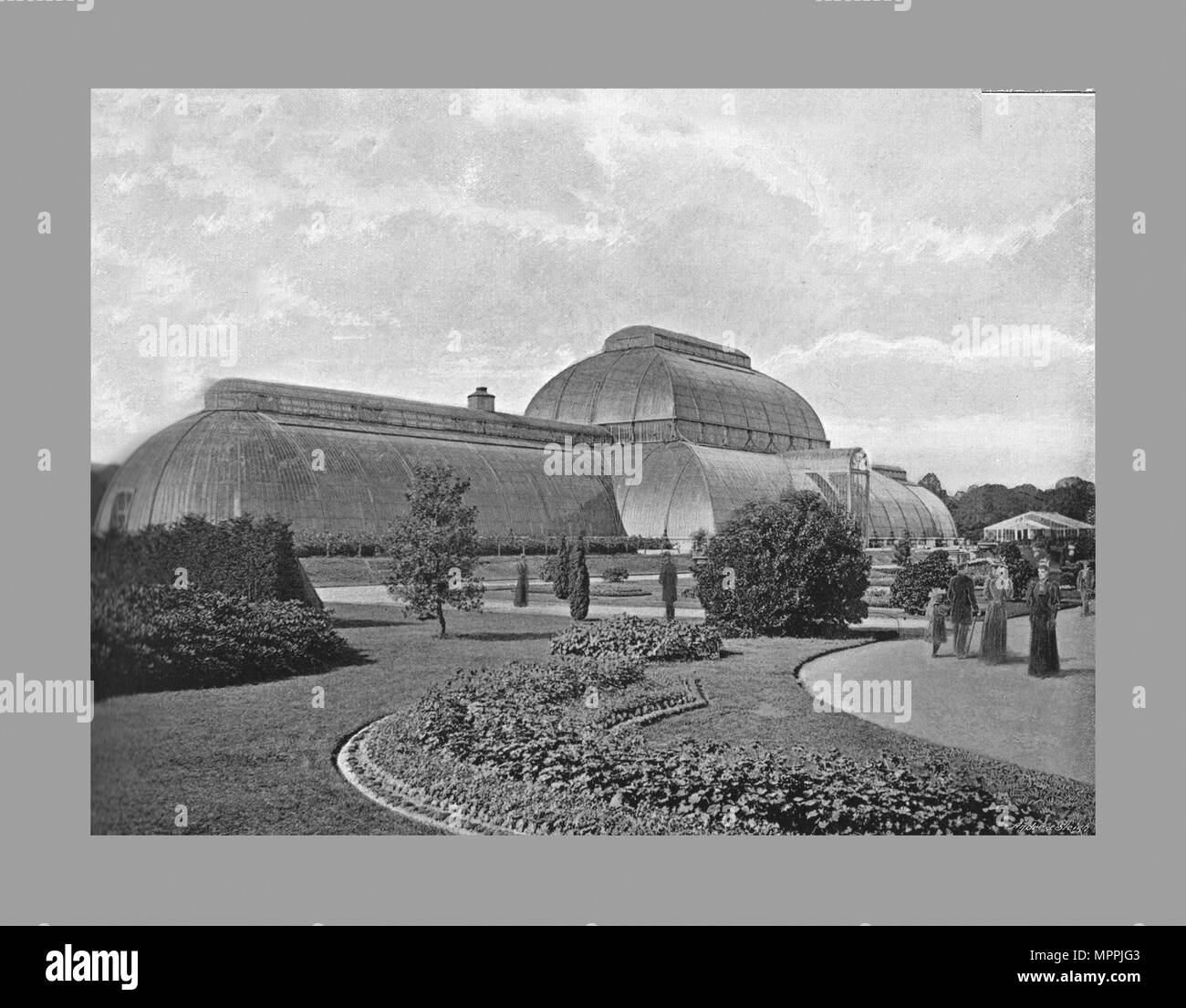 The Great Palm House, Kew Gardens, London, c1900. Artists: Decimus ...