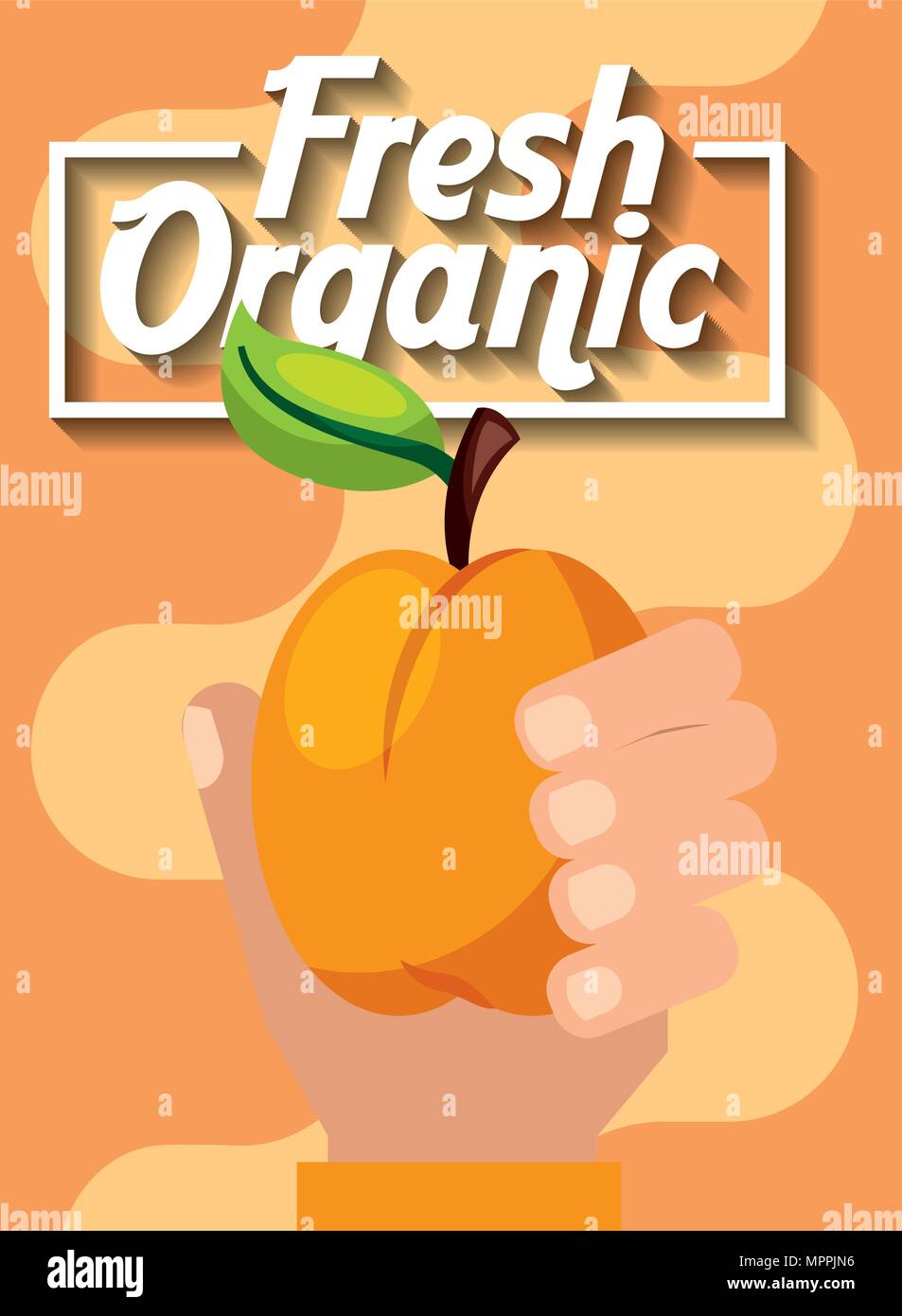 Fresh organic red nectarine Stock Vector Images - Alamy