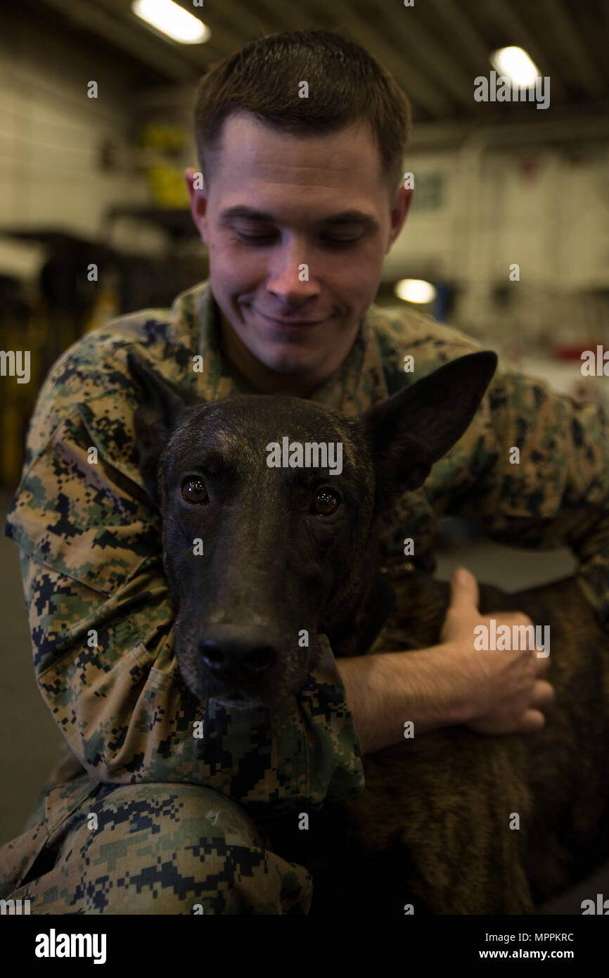 Cpl. Jacob H. Buck, a dog handler attached to Command Element, 31st ...