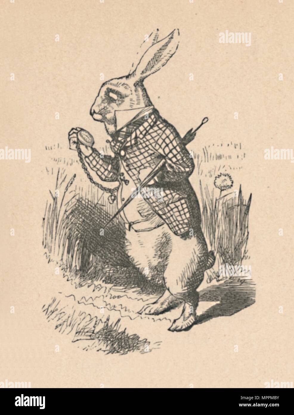 John tenniel rabbit hi-res stock photography and images - Alamy
