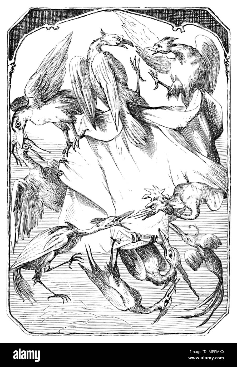 'The Donkey Cabbages', 1901. Artist: Edward Henry Wehnert Stock Photo ...
