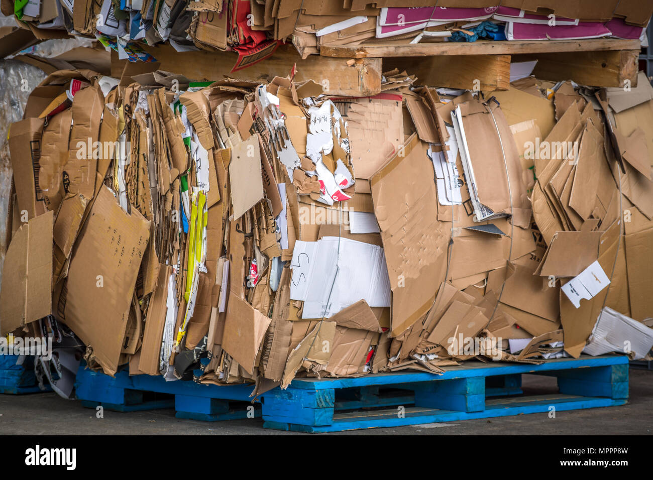 Paper and cardboard recycling Stock Photo - Alamy