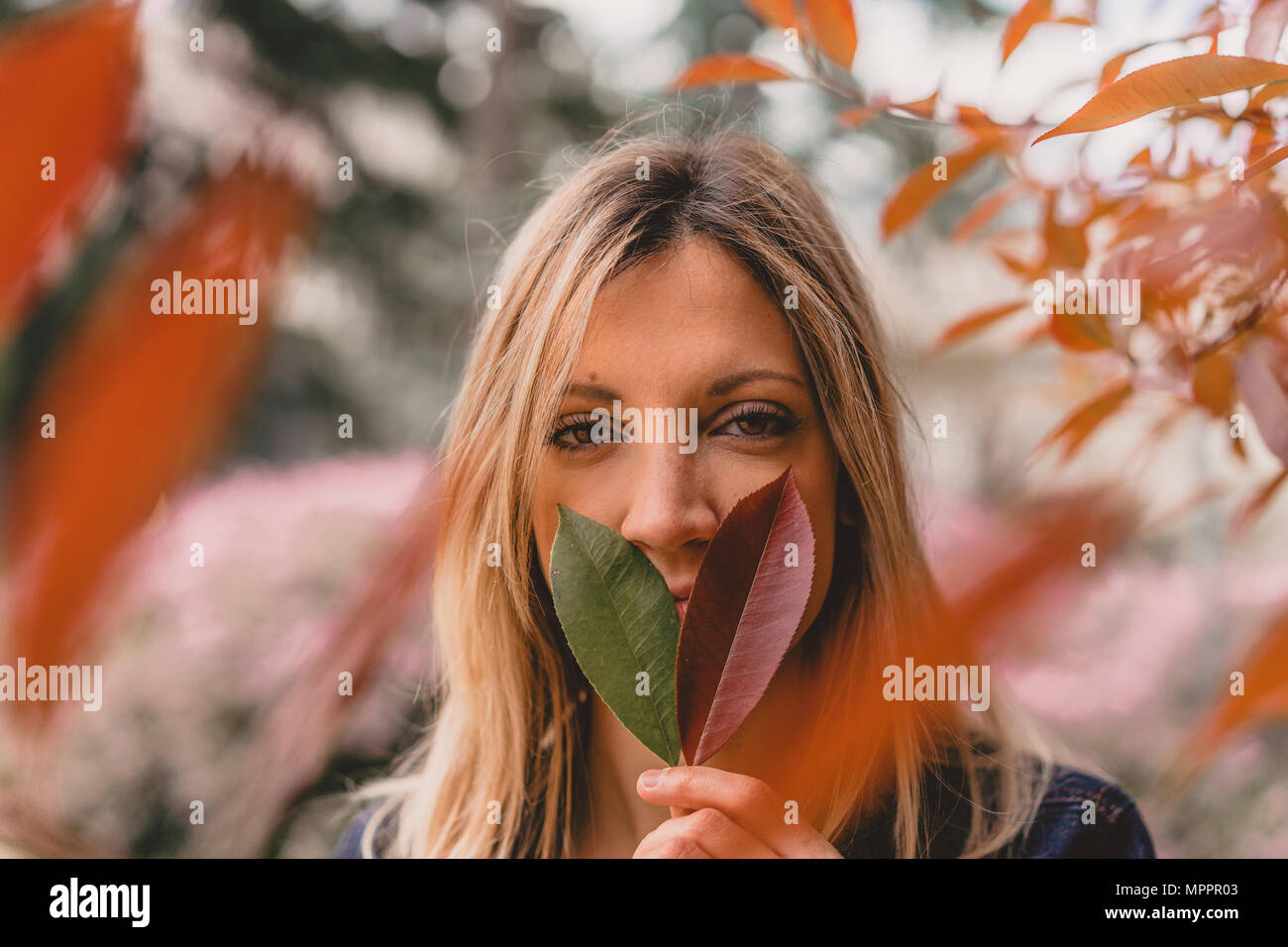 Grown for young leaves hi-res stock photography and images - Alamy