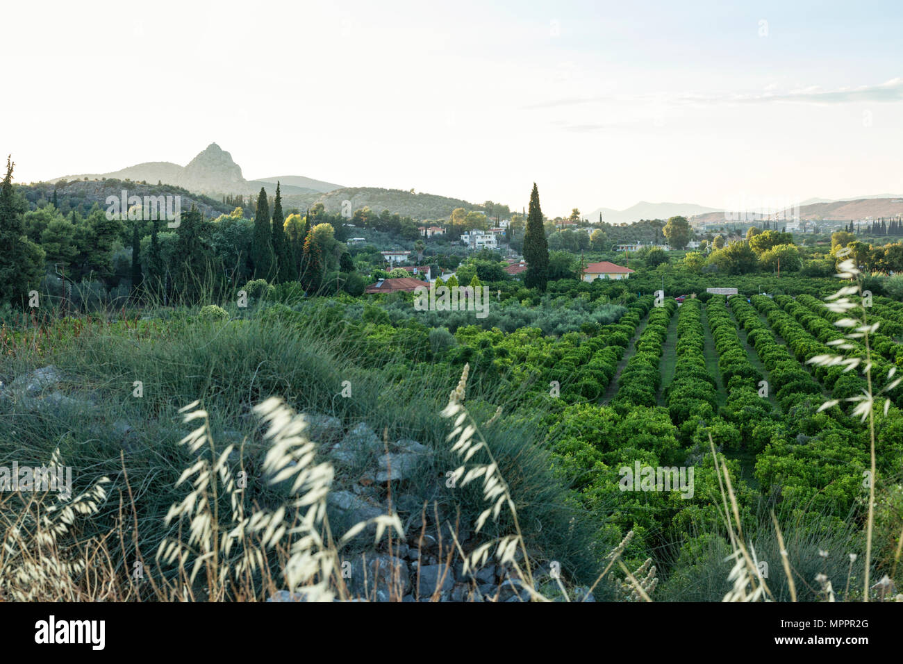 Ancient arcadia hi-res stock photography and images - Alamy