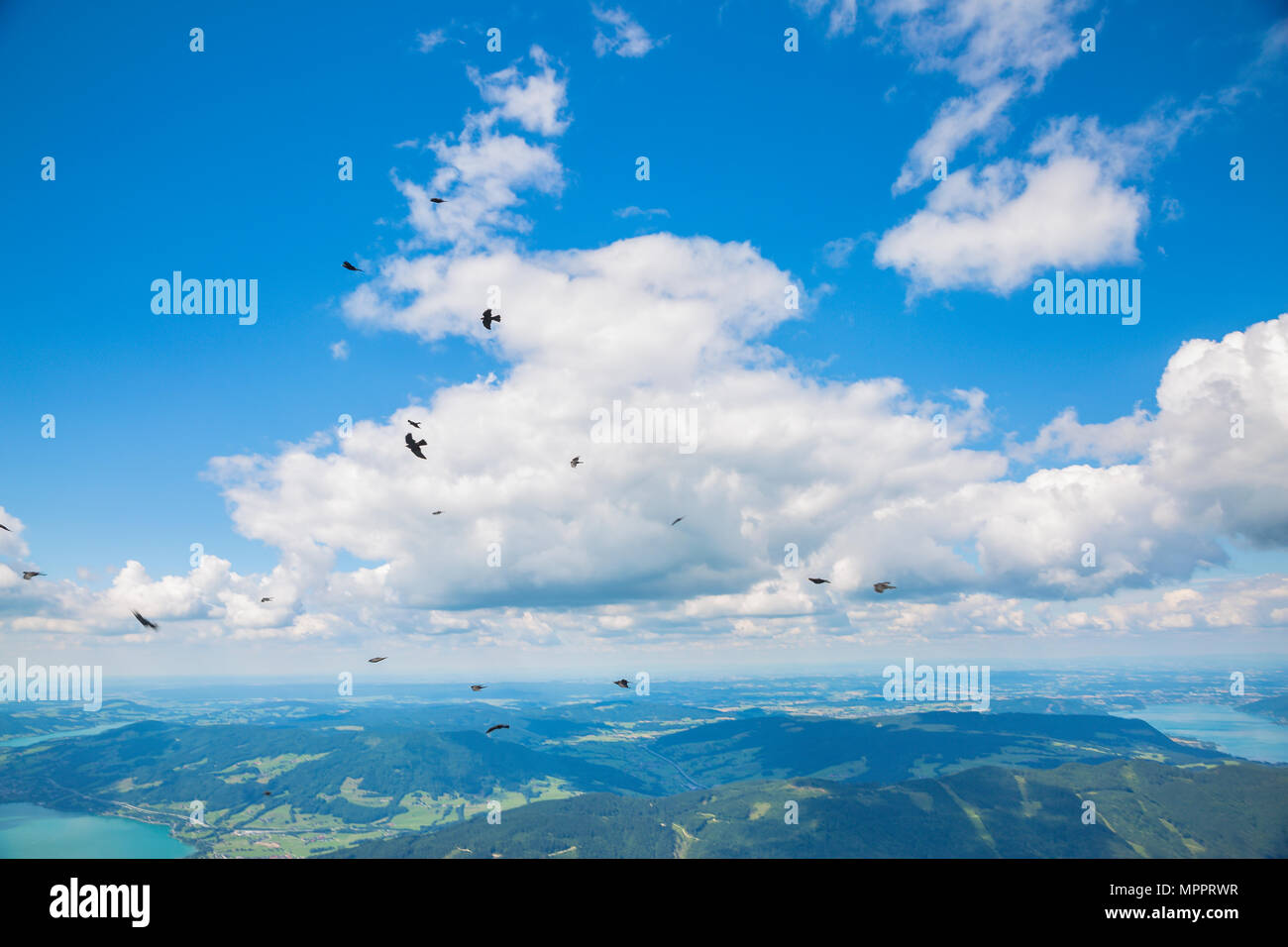 Flying birds colour hi-res stock photography and images - Alamy