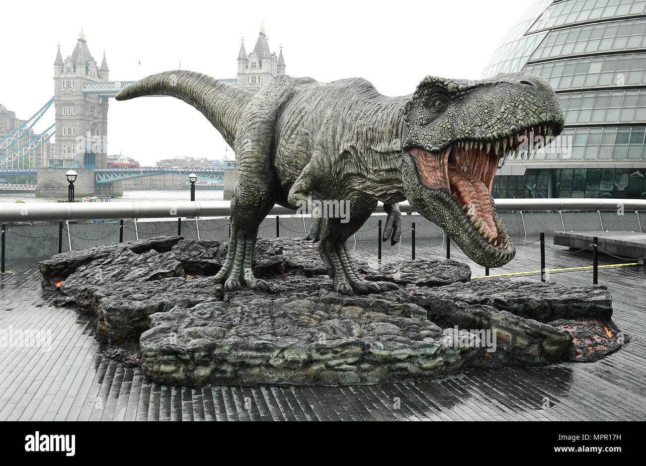 T rex dinosaur hi-res stock photography and images - Alamy