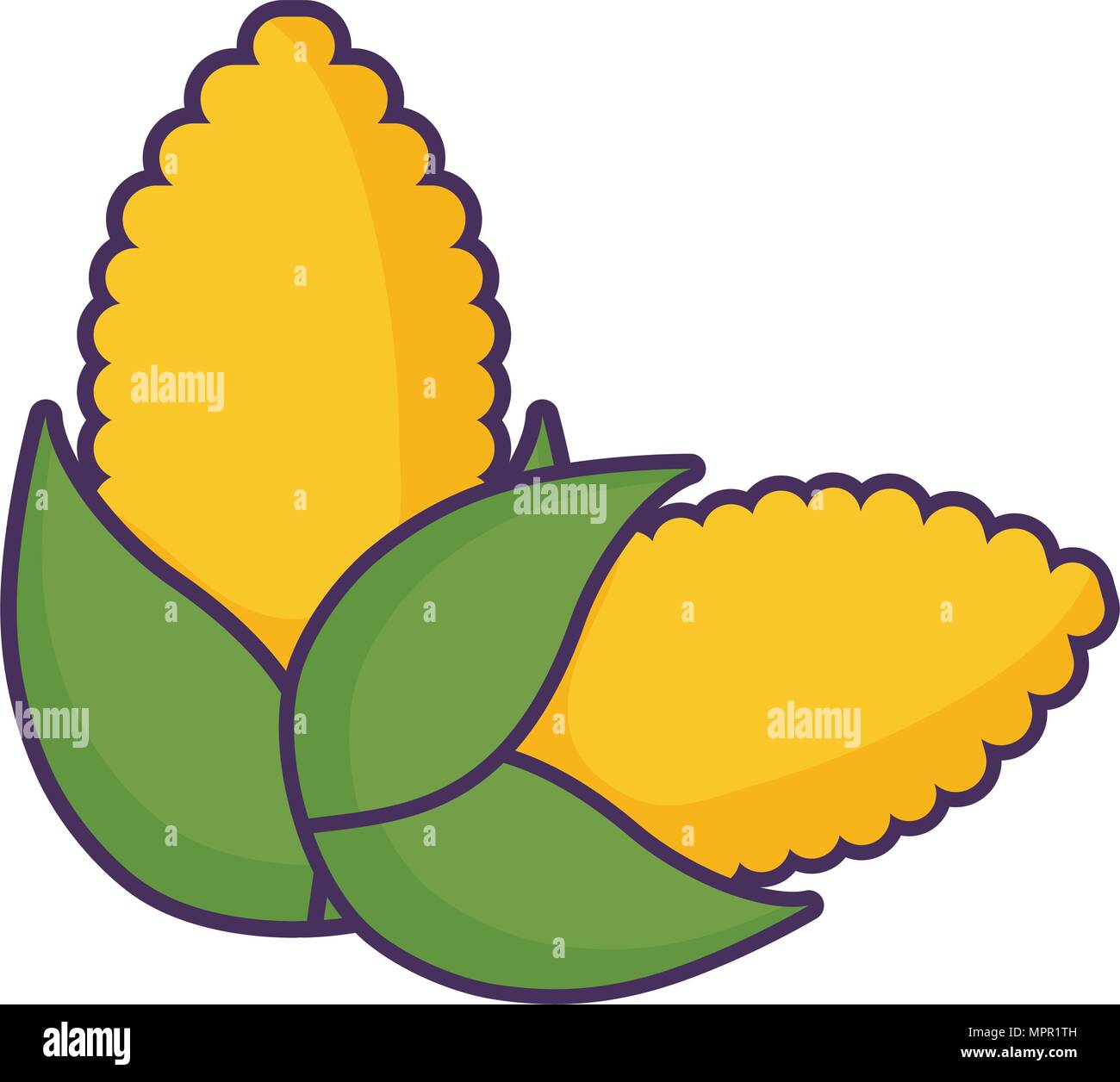 corns vegetables over white background, colorful design. vector ...