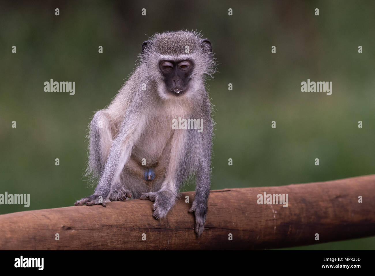Recreation park south africa hi-res stock photography and images - Alamy