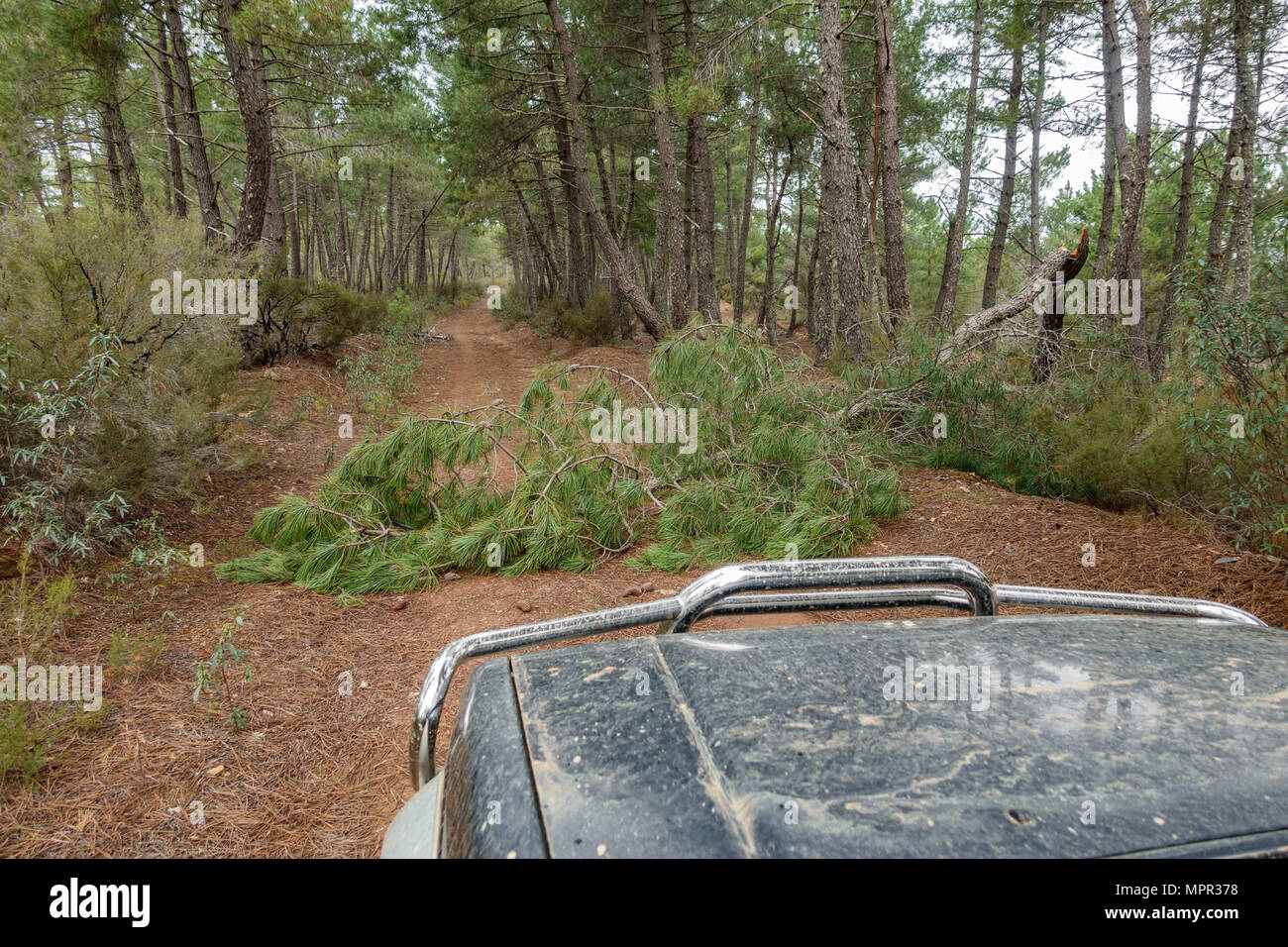Big 4x4 car with tree trunk in the track Stock Photo - Alamy