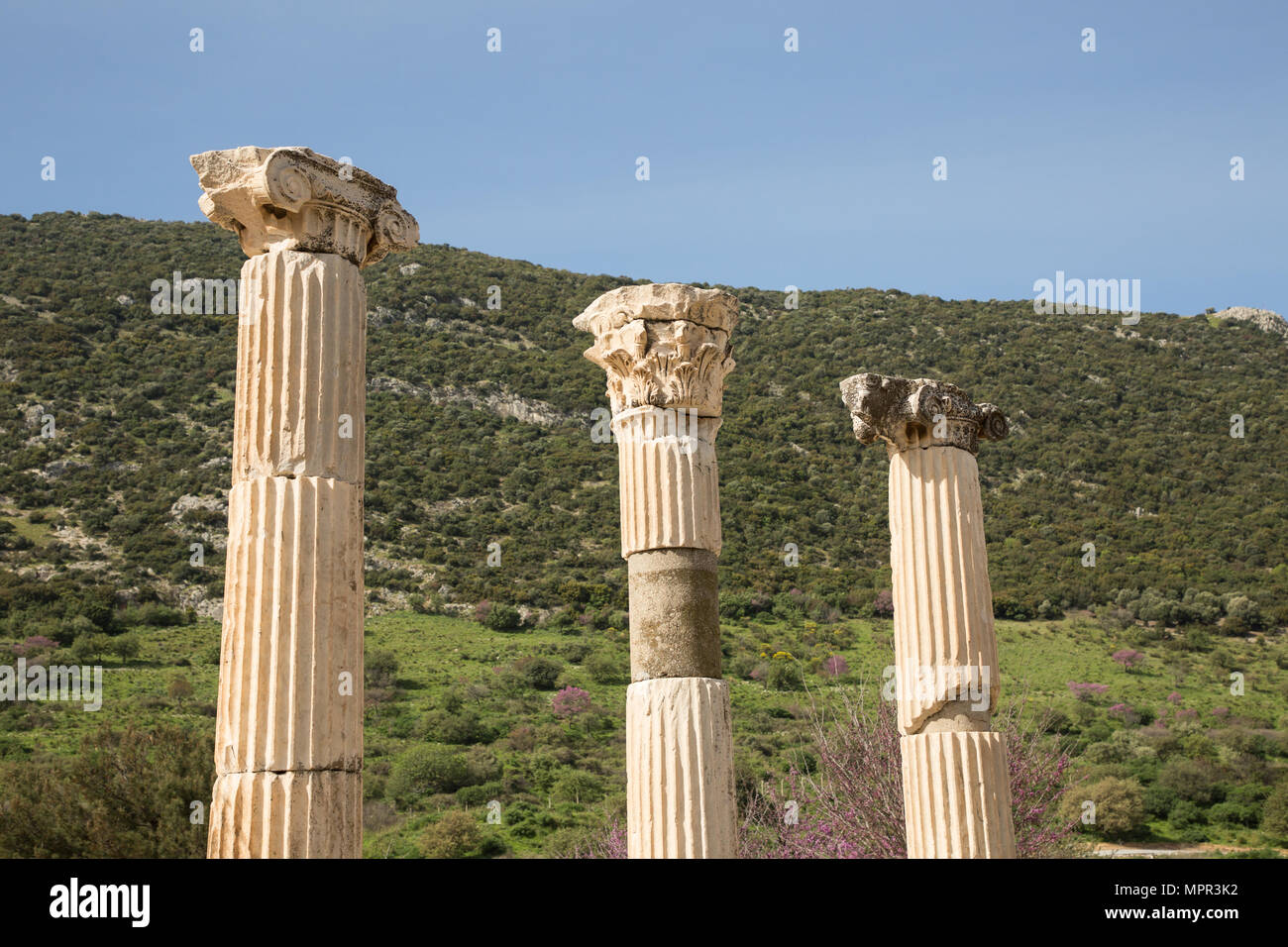 columns of the ancient city of Ephesus Stock Photo - Alamy