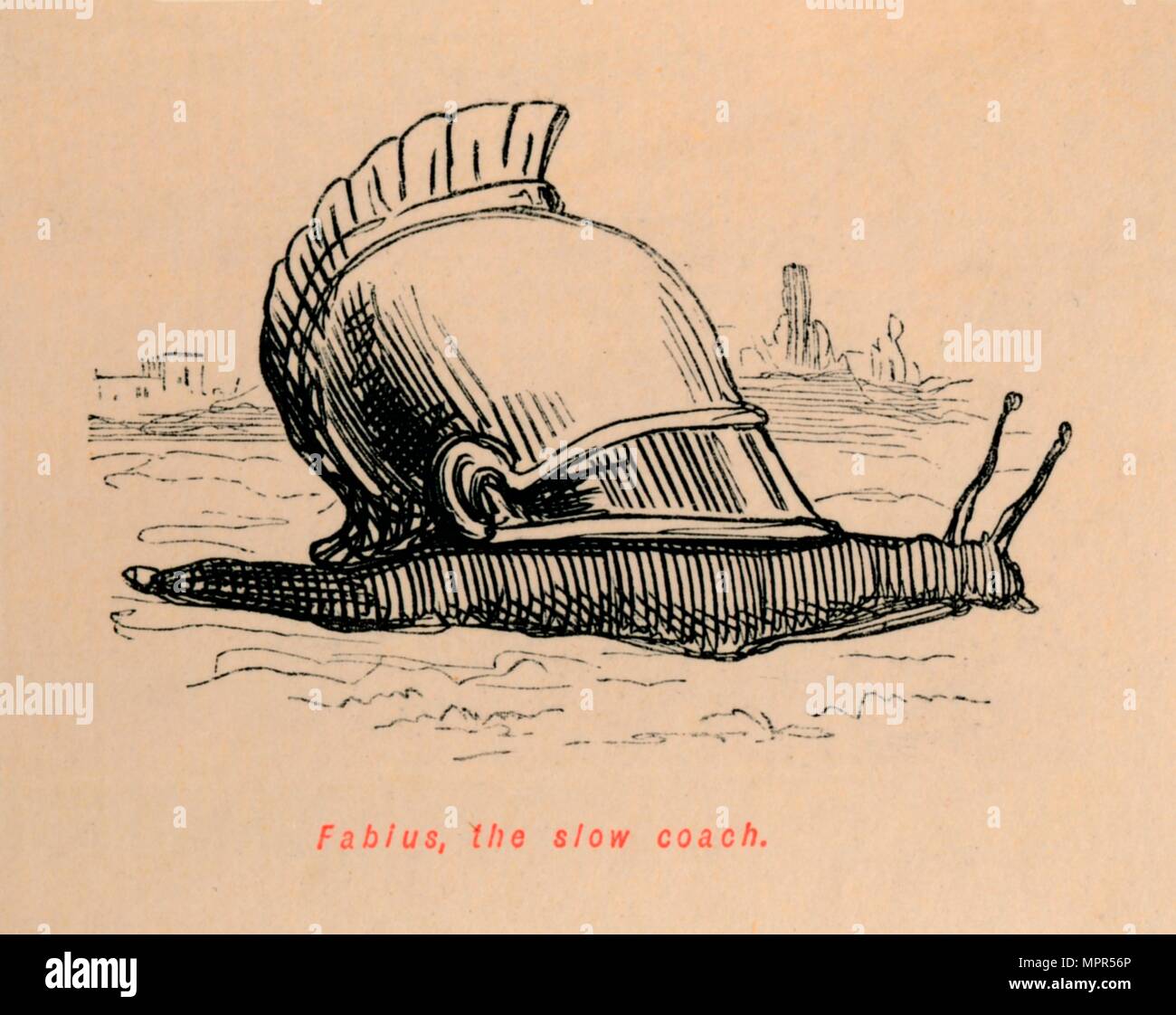 Slow coach hi-res stock photography and images - Alamy