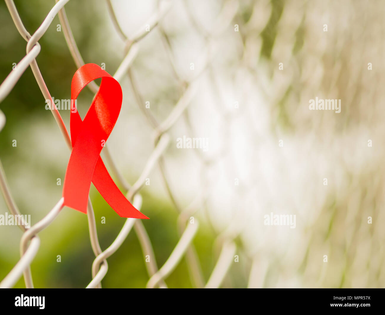 White net ribbon hi-res stock photography and images - Alamy