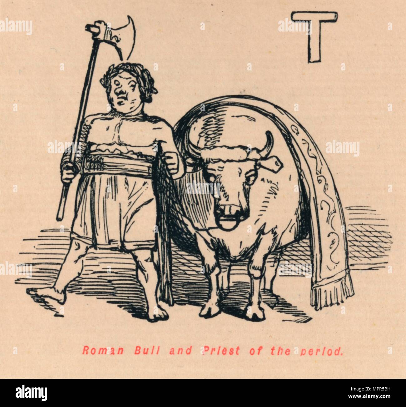 'Roman Bull and Priest of the period', 1852. Artist: John Leech Stock ...