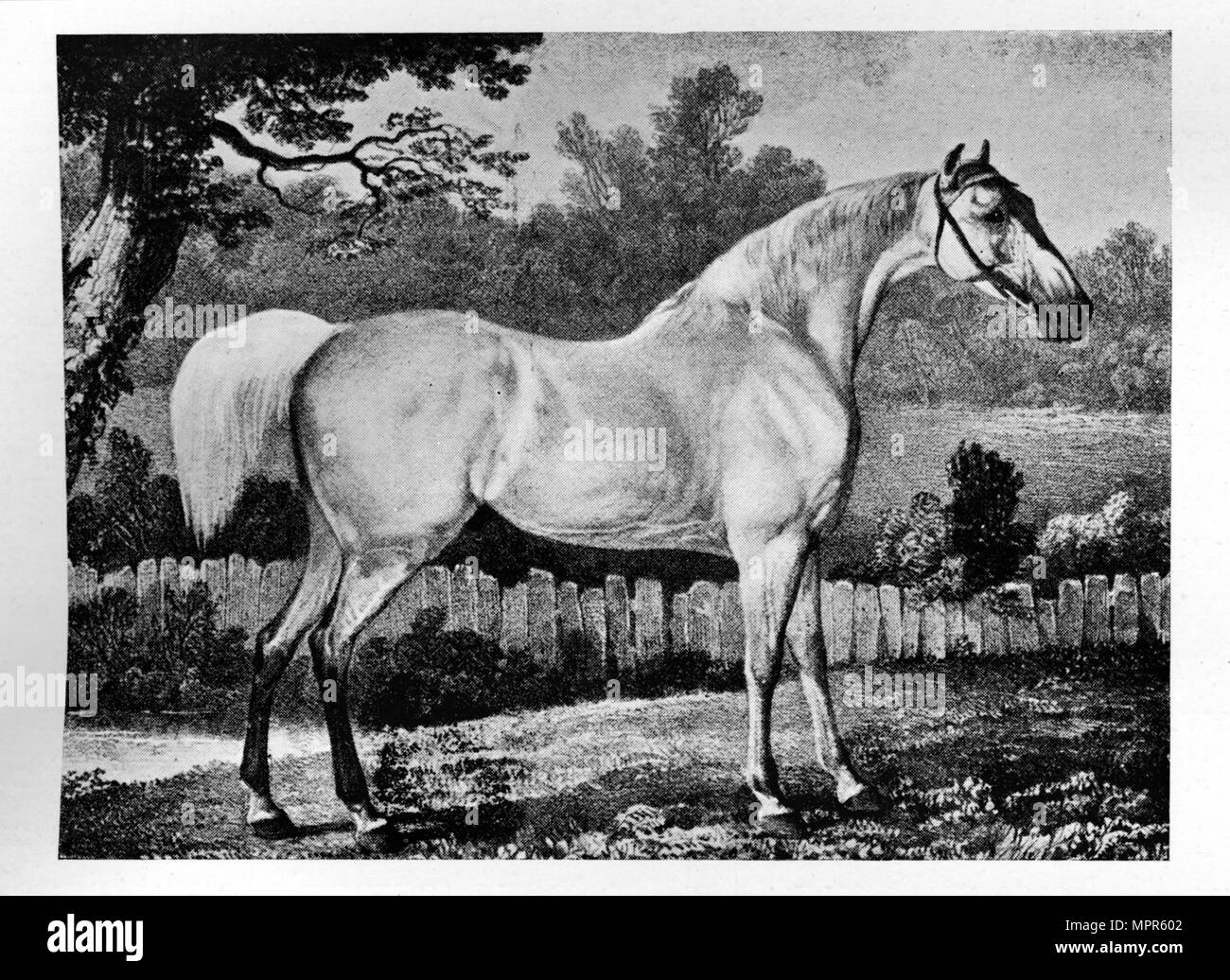 1760 artist Black and White Stock Photos & Images - Alamy