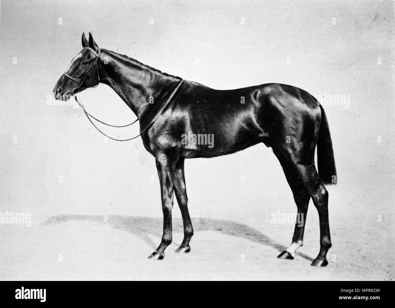 Lemberg Black and White Stock Photos & Images - Alamy