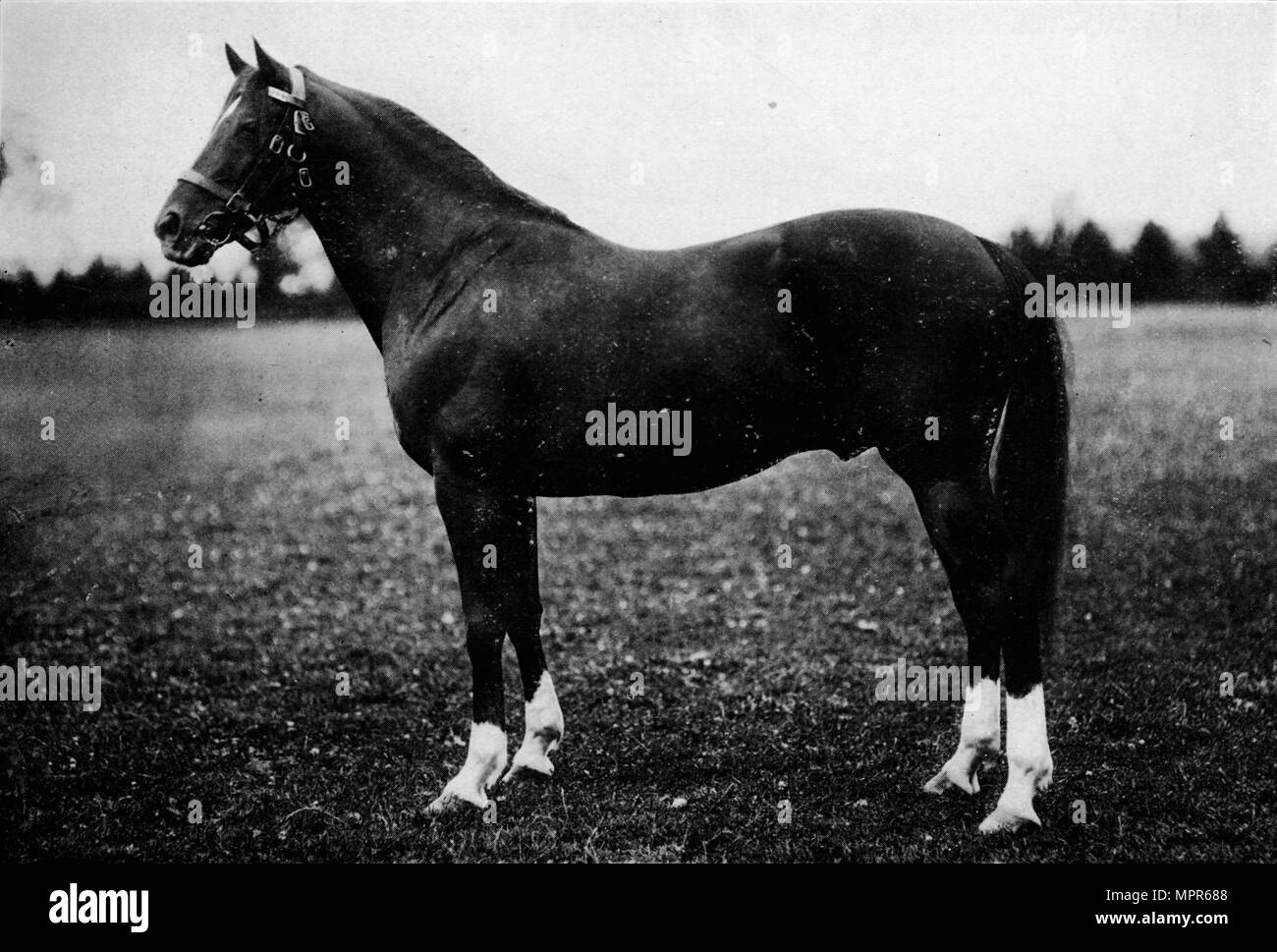 19th century horse racing britain hi-res stock photography and images ...