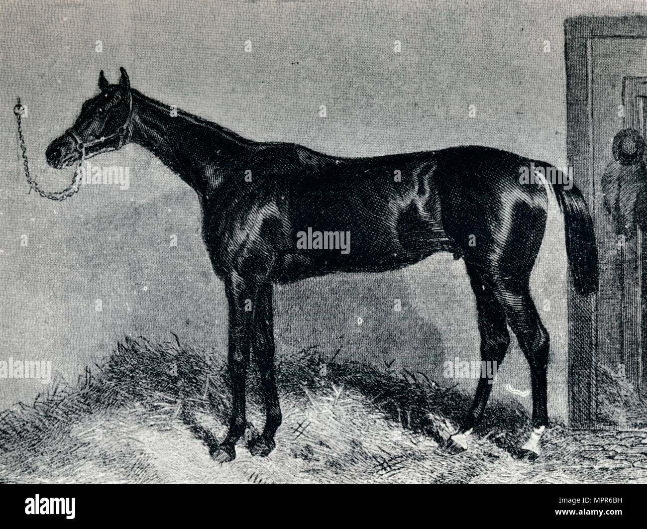 'Tim Whiffler', c1860s, (1911). Artist: Unknown Stock Photo - Alamy