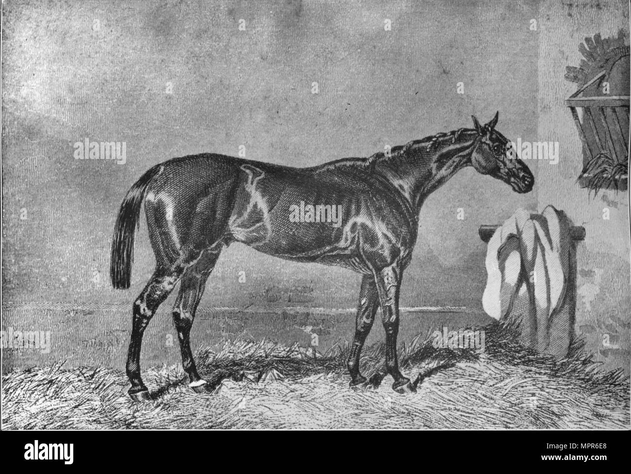 Artist vernon thomas hi-res stock photography and images - Alamy