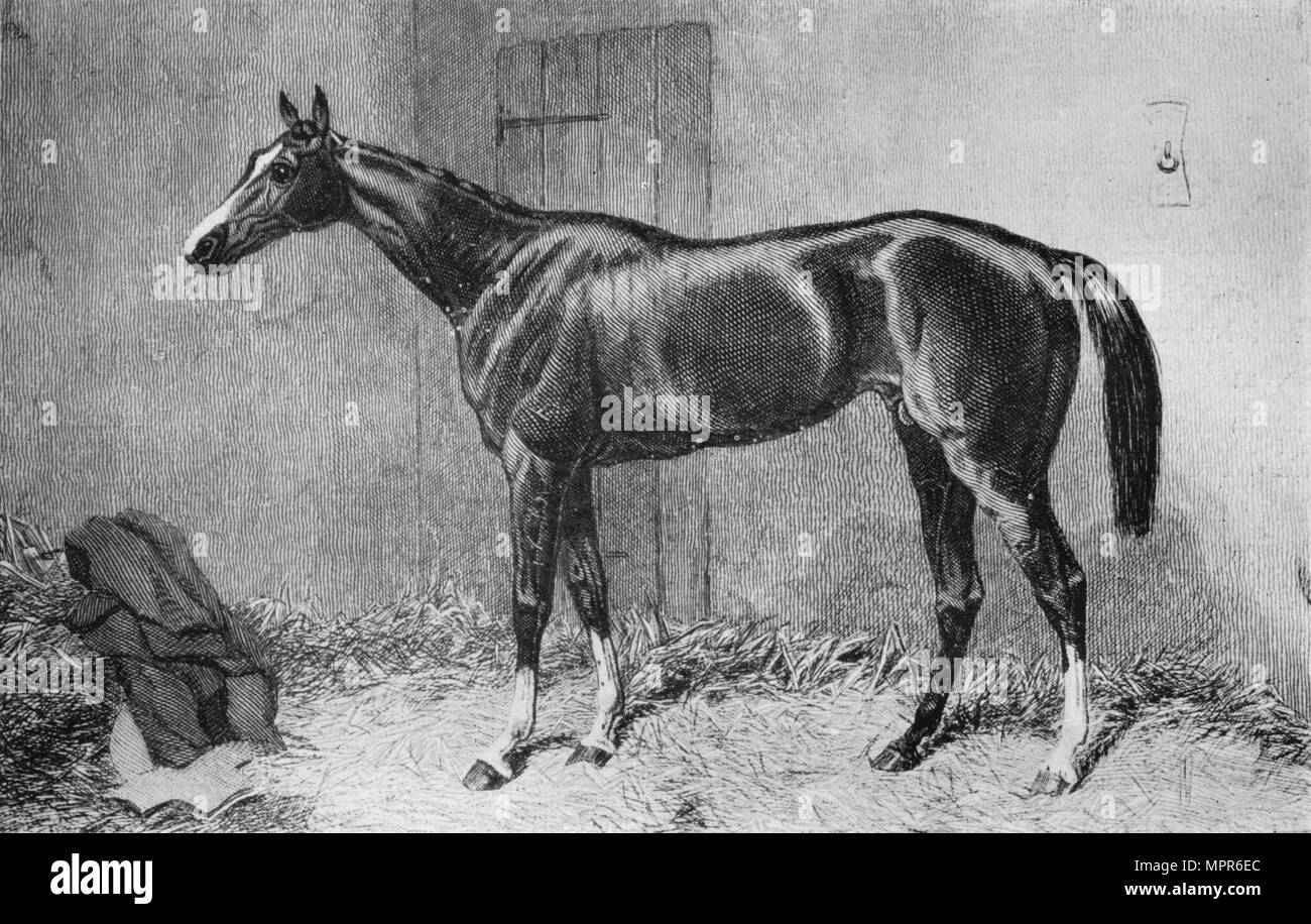 James cookson hi-res stock photography and images - Alamy