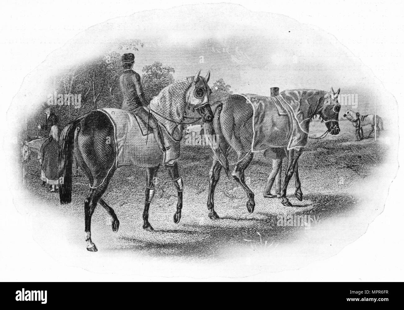 'The Next Race', 19th century, (1911). Artist: Unknown Stock Photo - Alamy