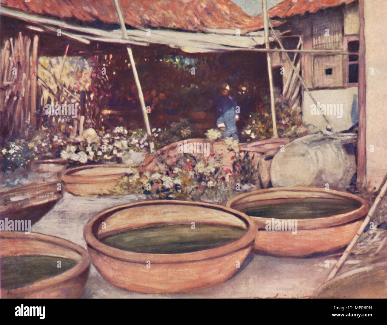 'Nursery Garden', 1903. Artist: Mortimer L Menpes Stock Photo - Alamy