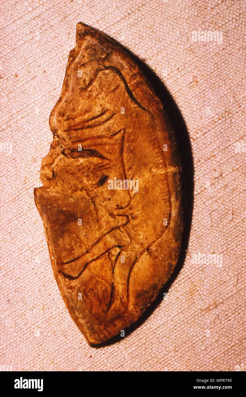 Paleolithic man drawing hi-res stock photography and images - Alamy