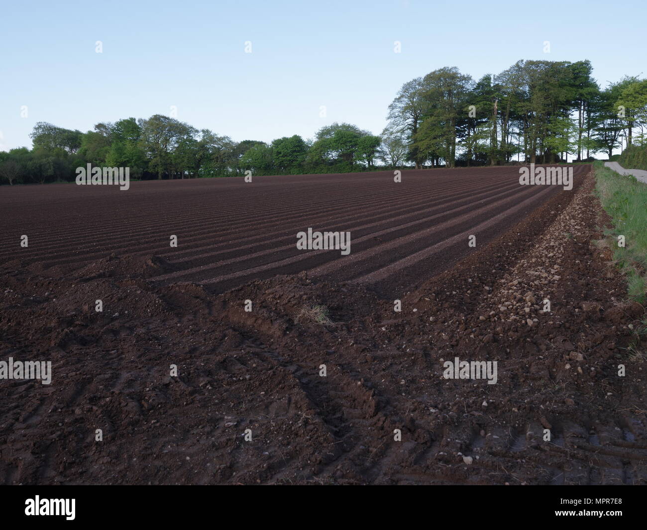 Straight Furrows High Resolution Stock Photography and Images - Alamy