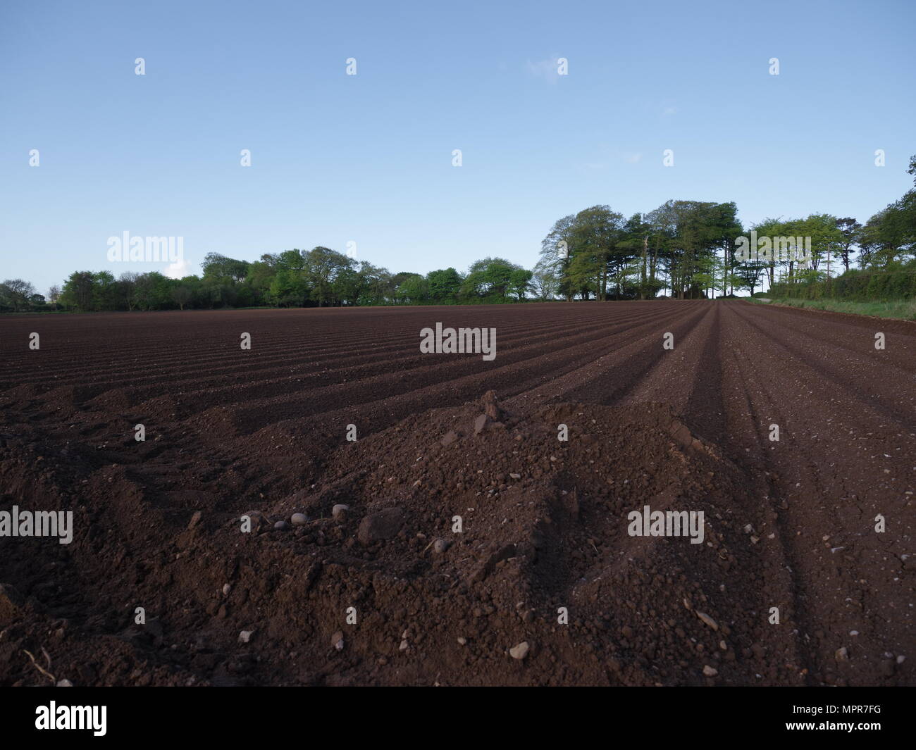 Straight Furrows High Resolution Stock Photography and Images - Alamy